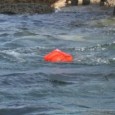 Life Raft for Coastal Use - Just Marine